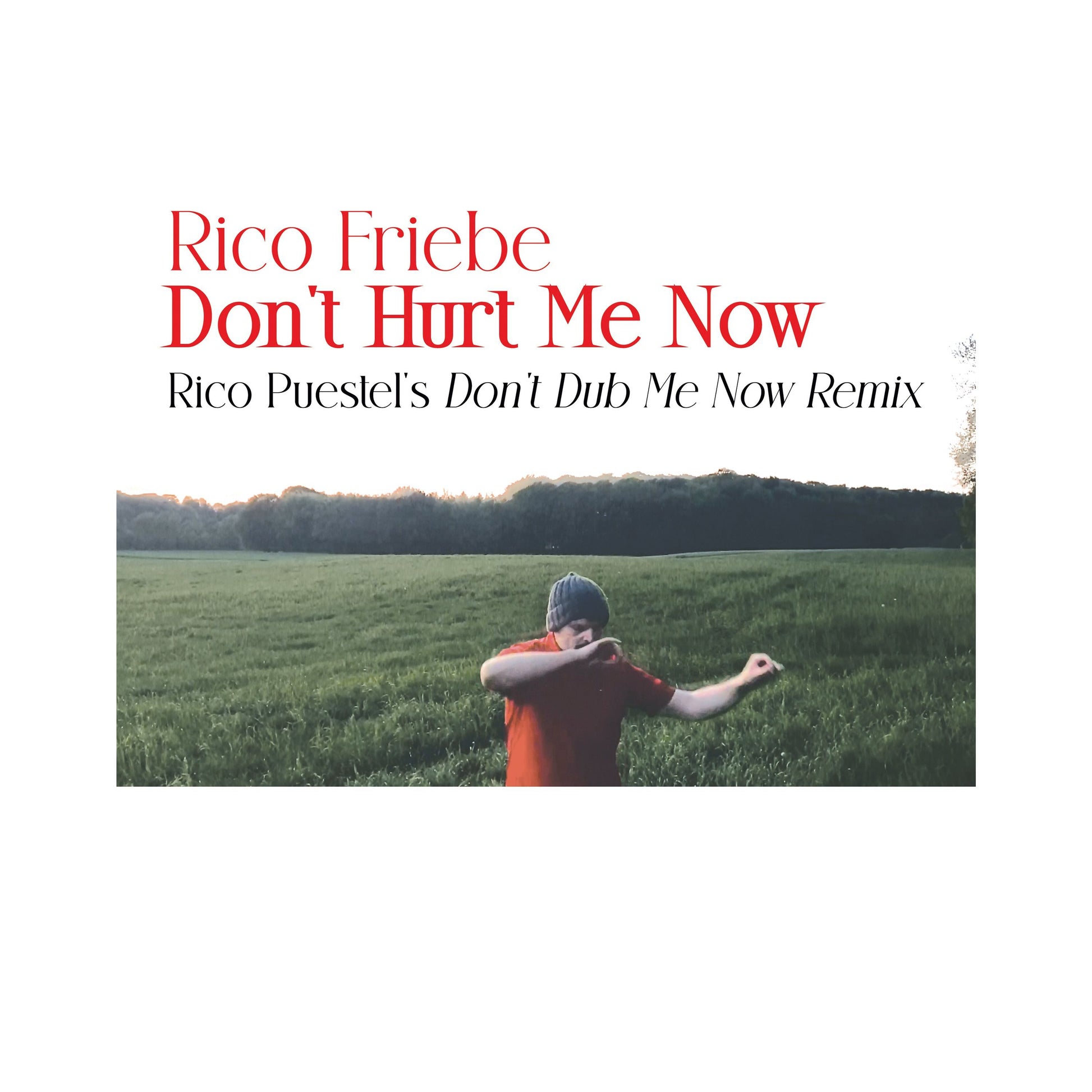 Rico Friebe Don't Hurt Me Now (Rico Puestel's 'Don't Dub Me Now' Remix ...