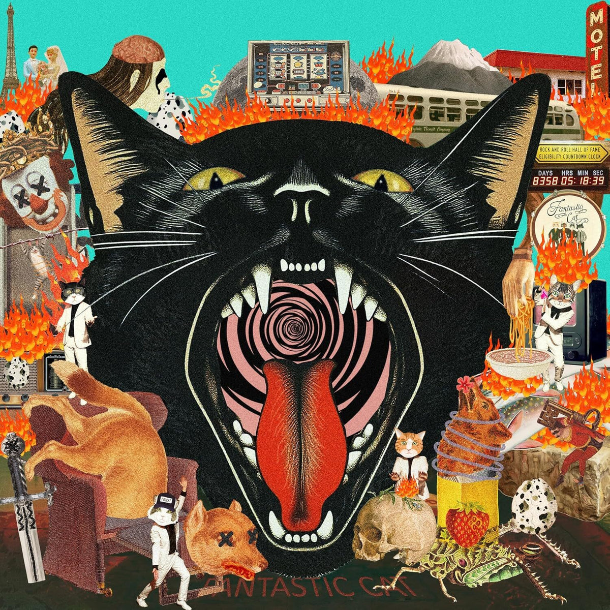 Fantastic Cat Cat Out of Hell — Rarewaves.com