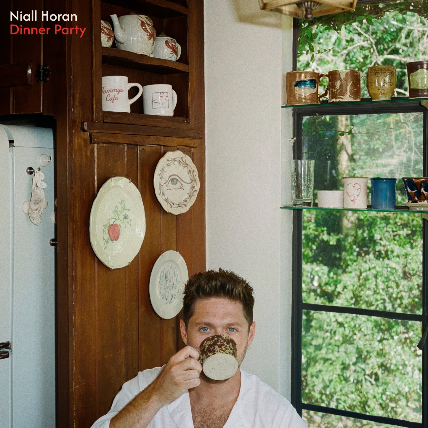 Niall Horan Dinner Party – Rarewaves.com