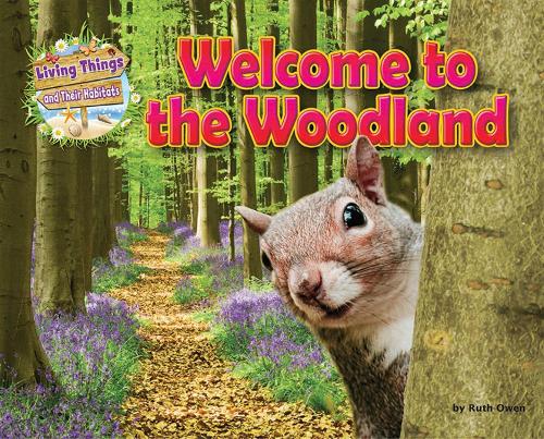 Welcome to the Woodland – Rarewaves.com