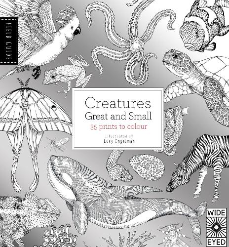 Lucy Engelman Field Guide: Creatures Great and Small – Rarewaves.com