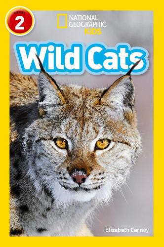 Wild Cats – Rarewaves.com