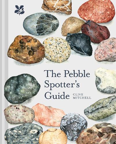 Clive Mitchell The Pebble Spotter's Guide – Rarewaves.com