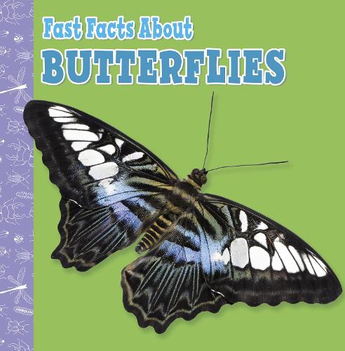 Fast Facts About Butterflies – Rarewaves.com