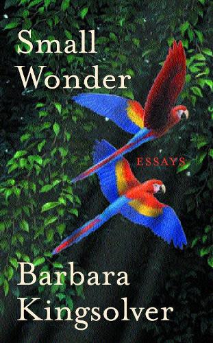 Barbara Kingsolver Small Wonder – Rarewaves.com