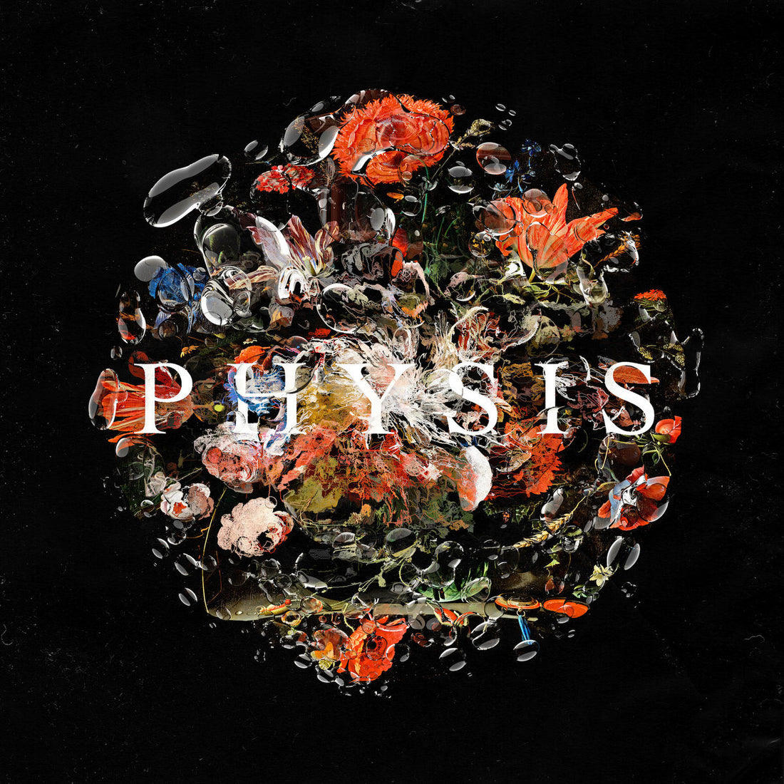 DayKoda Physis – Rarewaves.com